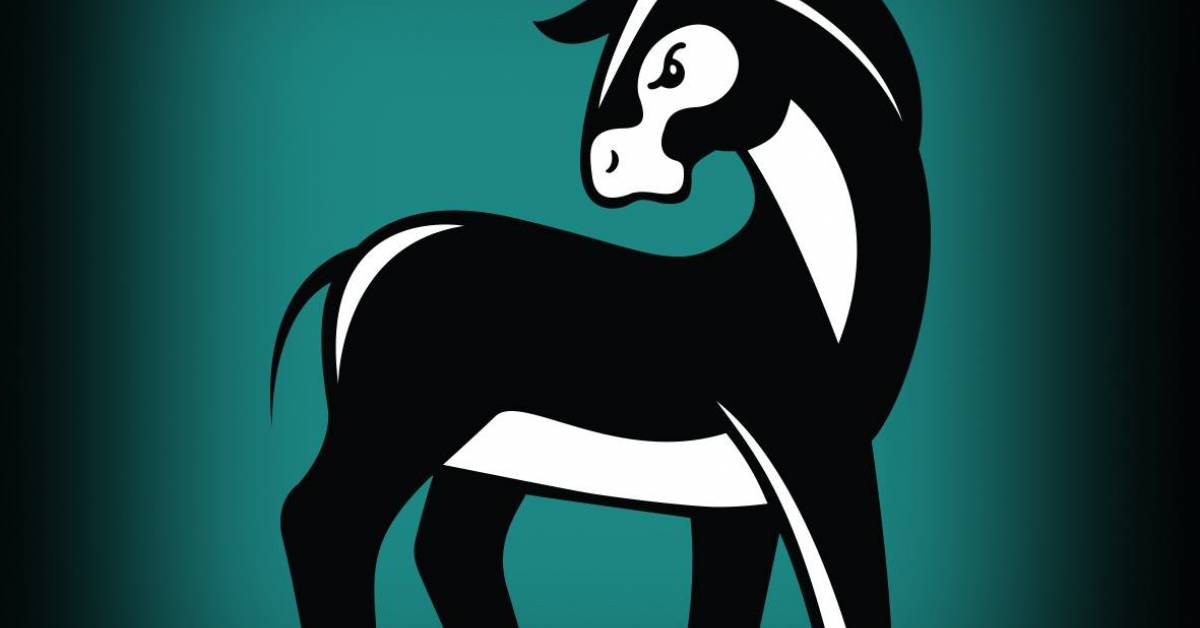 Ink Donkey Tattoo | Tattoofilter