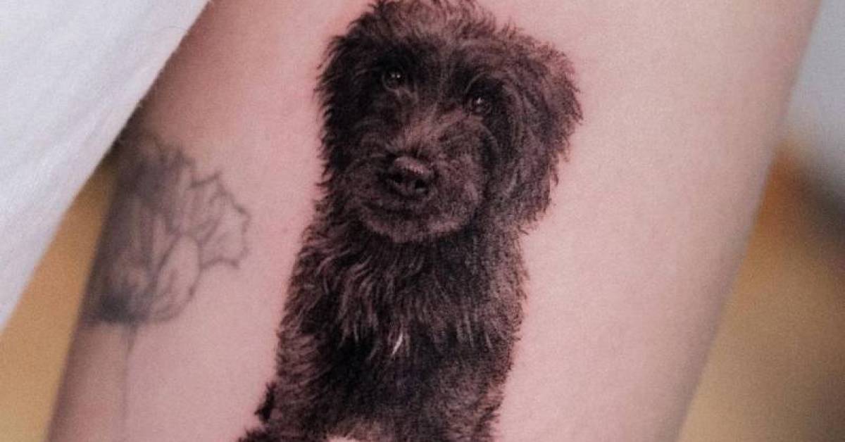 Cockapoo Tattoos | Tattoofilter
