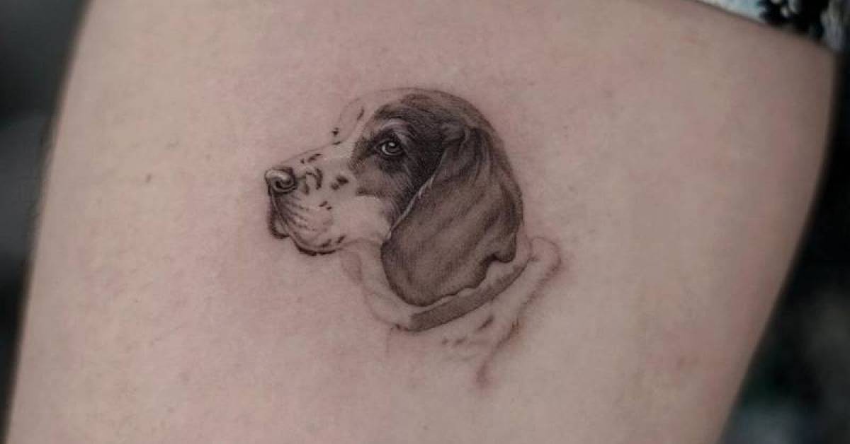 English Setter Tattoos | Tattoofilter
