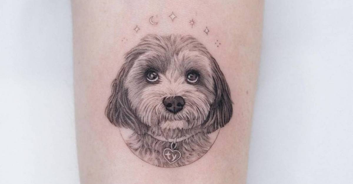 Cavapoo Tattoos | Tattoofilter