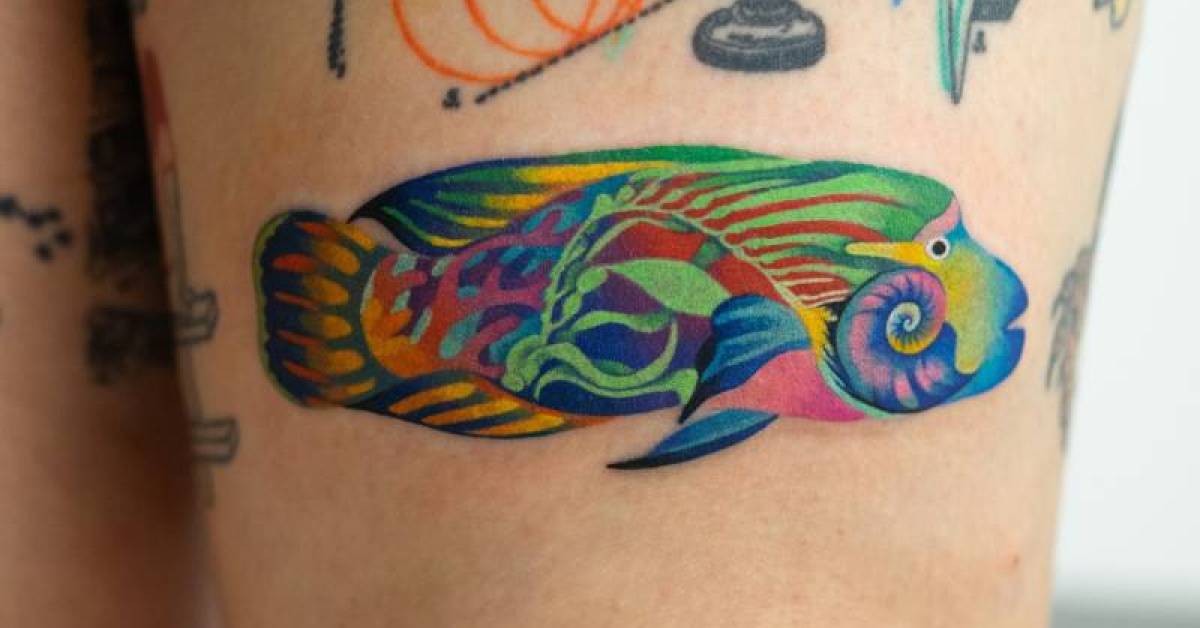 Humphead Wrasse Tattoos | Tattoofilter