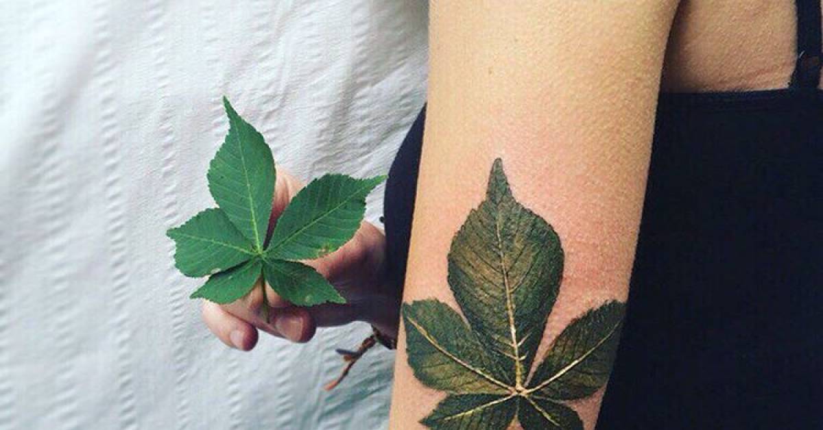 Chestnut Leaf Tattoos | Tattoofilter