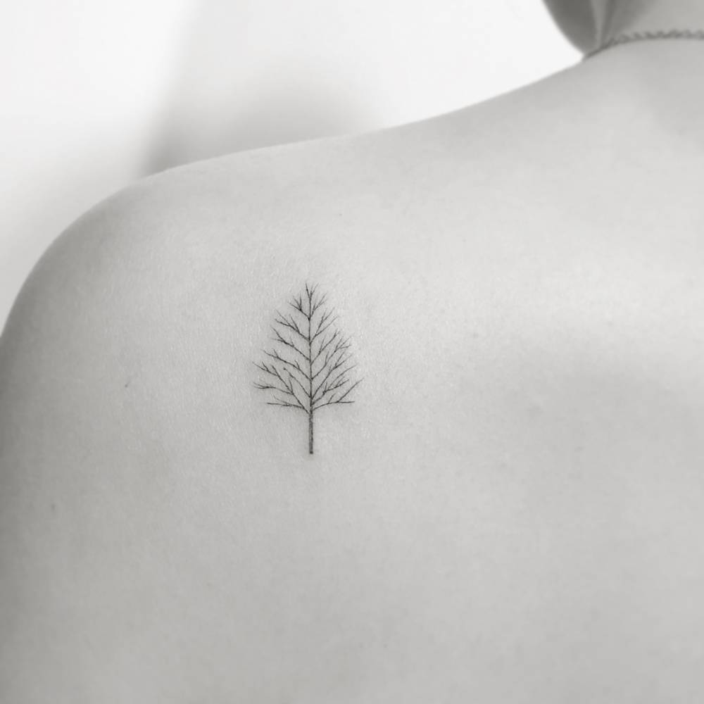 Beech Tree Tattoo