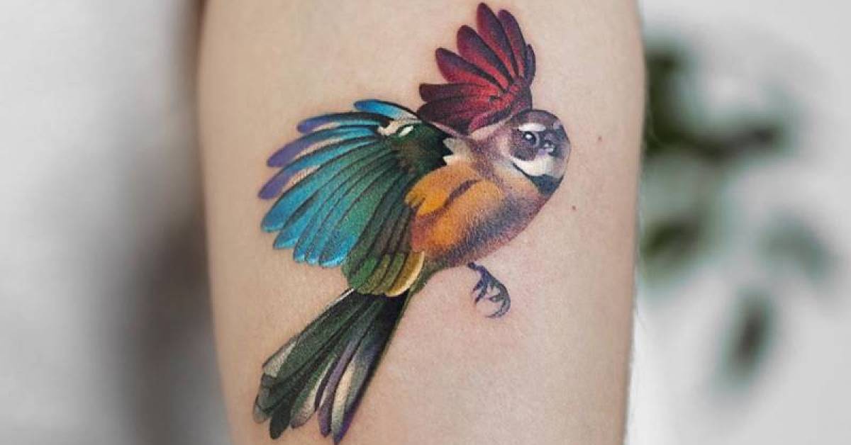 New Zealand Fantail Tattoos | Tattoofilter