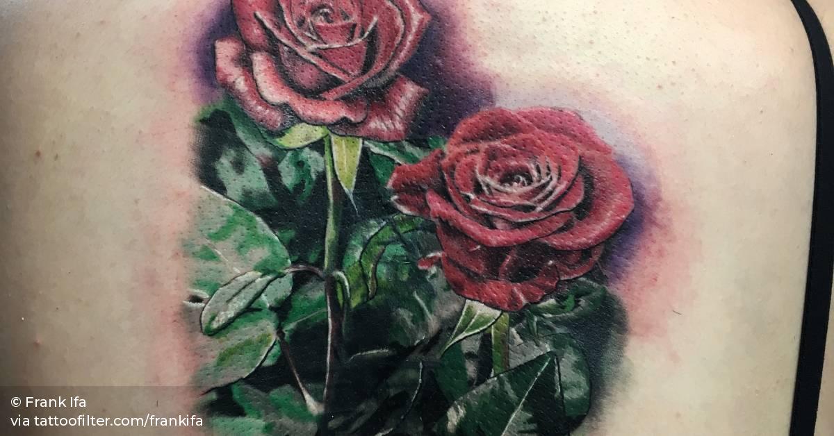roses, cover up