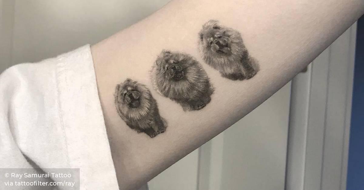 Chow chow finished 3 months ago, excellent healing.