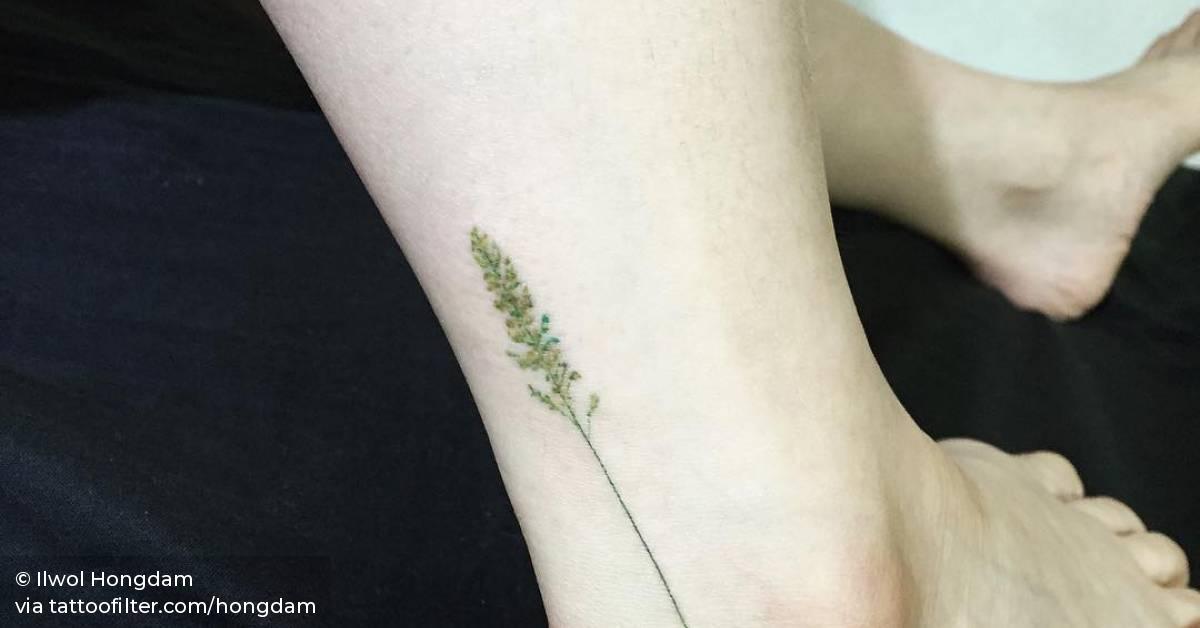 Reed grass tattoo on the ankle.