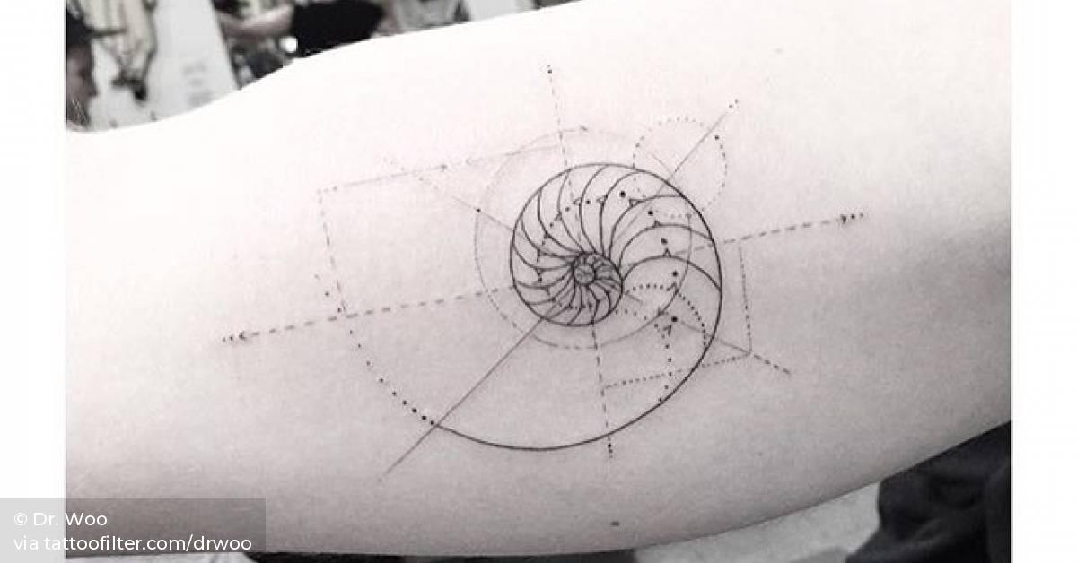 Fine line golden ratio tattoo on the right inner arm.