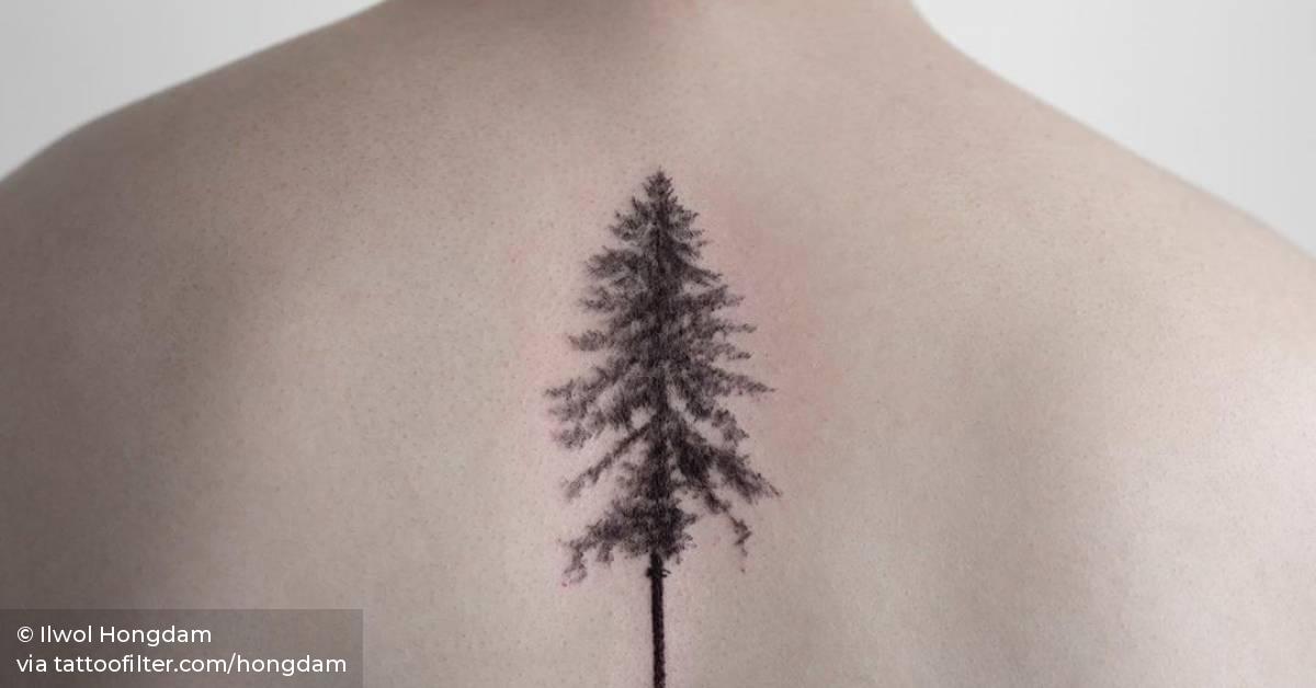 Pine tree @hongdamstudio
