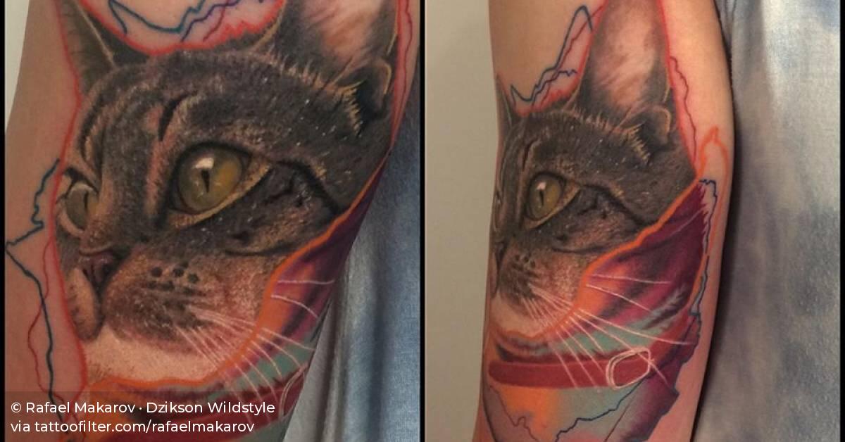 Cat mashup tattoo on the back of the left arm.