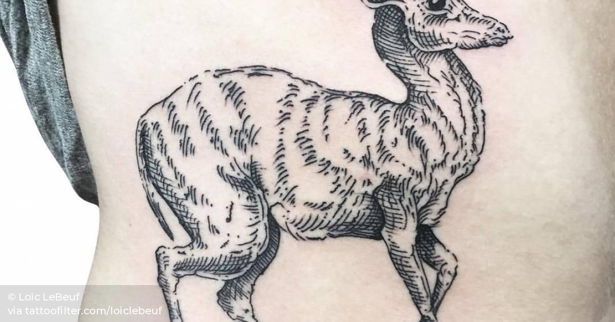 Engraving style fawn tattoo on the right side.