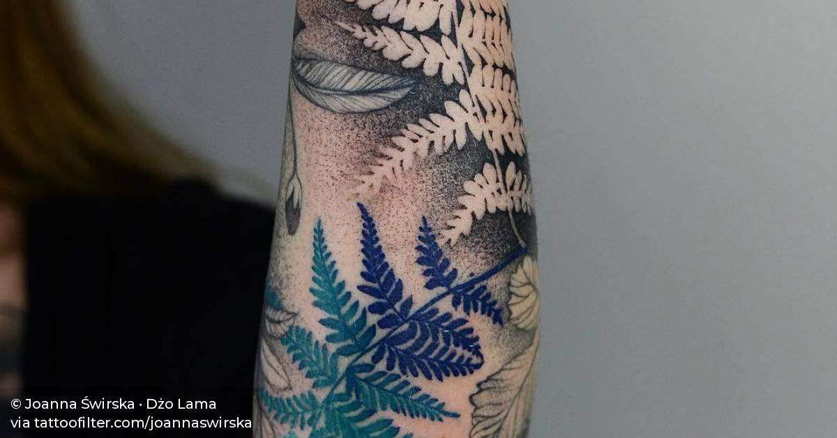 Ferns in negative and colours