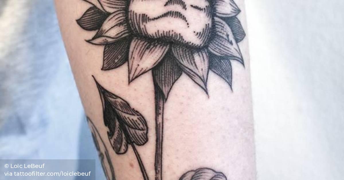 " sənflawər" done at Grotesque Tattooing, thanks