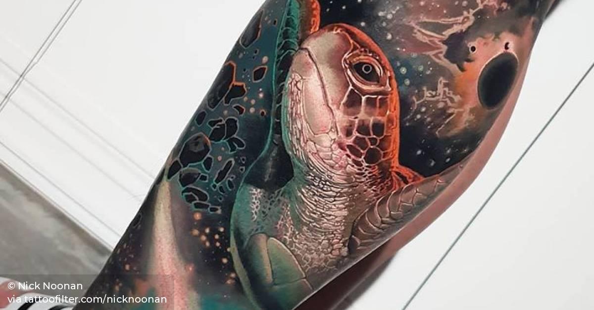 Space turtle!