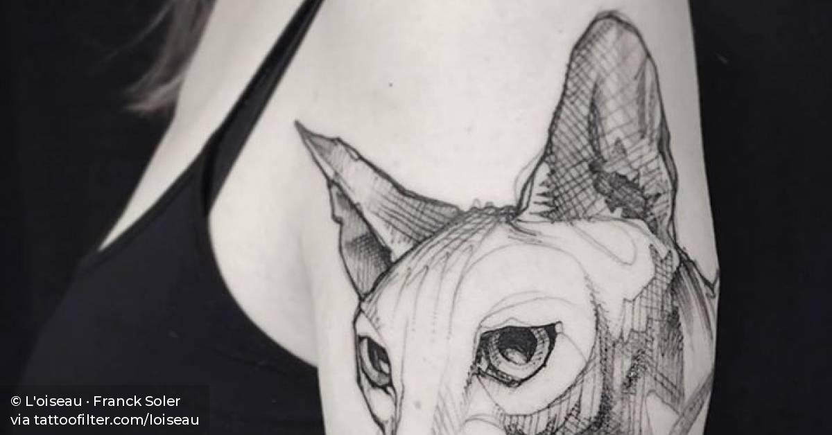 Sketch work sphynx tattoo on the left upper arm.