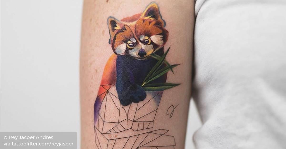 Red panda tattoo on the bicep.