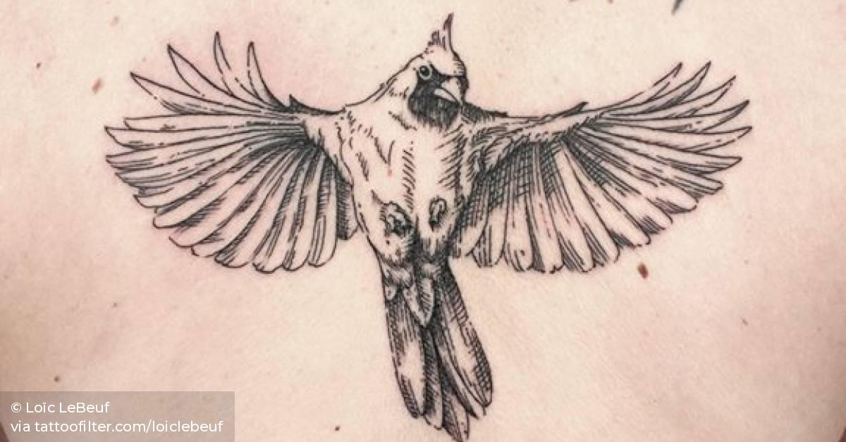 Engraving style cardinal bird on the back.