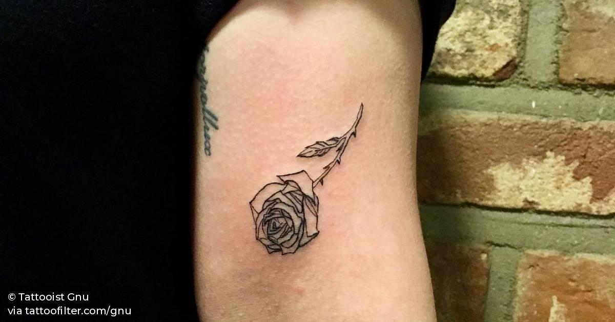 Rose