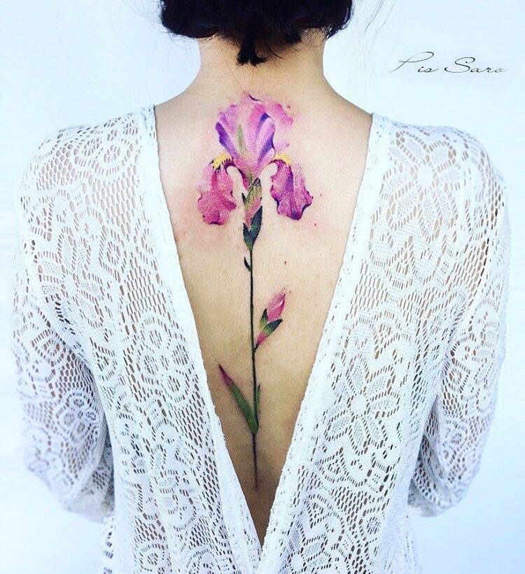 Bearded Iris Tattoos CO CREATE Bearded Iris By David Allen Bearded Iris Tattoos CO CREATE Bearded Iris By David Allen