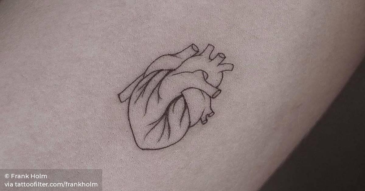 Fine line anatomical heart.