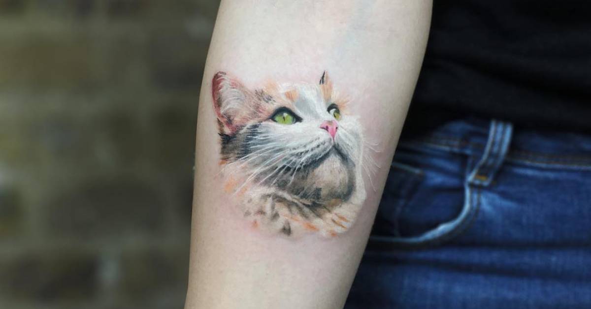 Realistic cat head tattoo on the inner forearm.