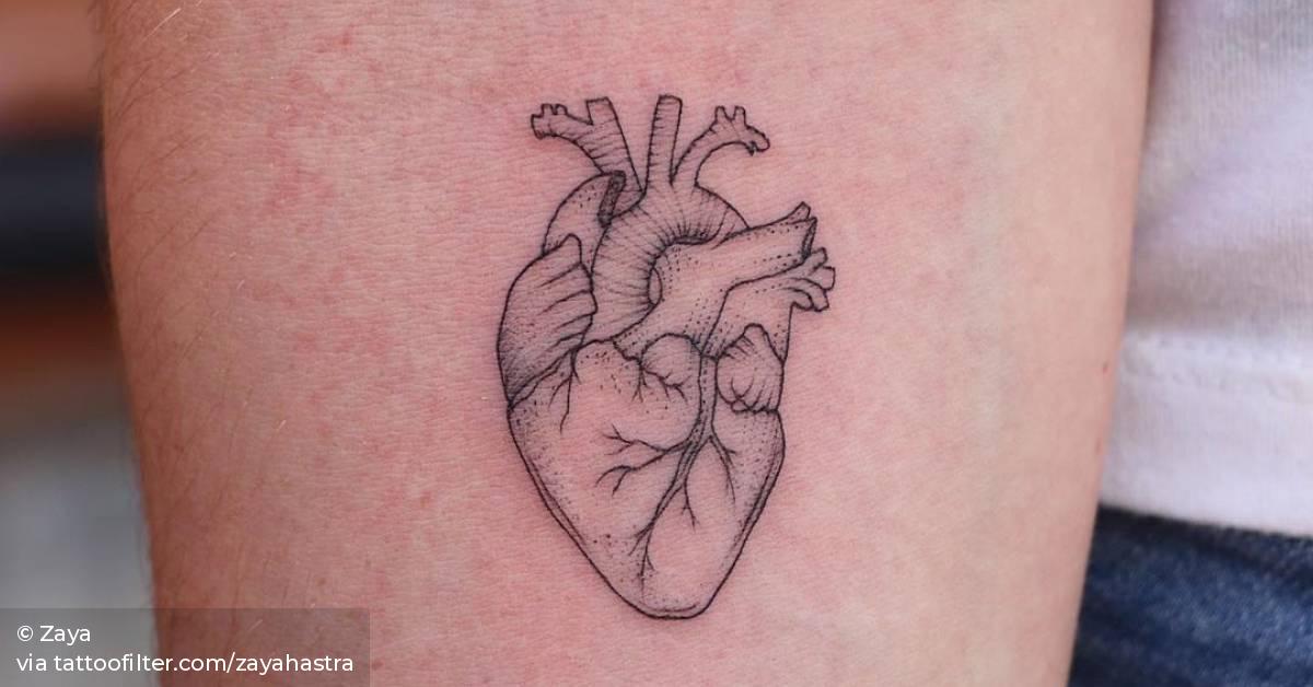 Fine line anatomical heart on the inner forearm.