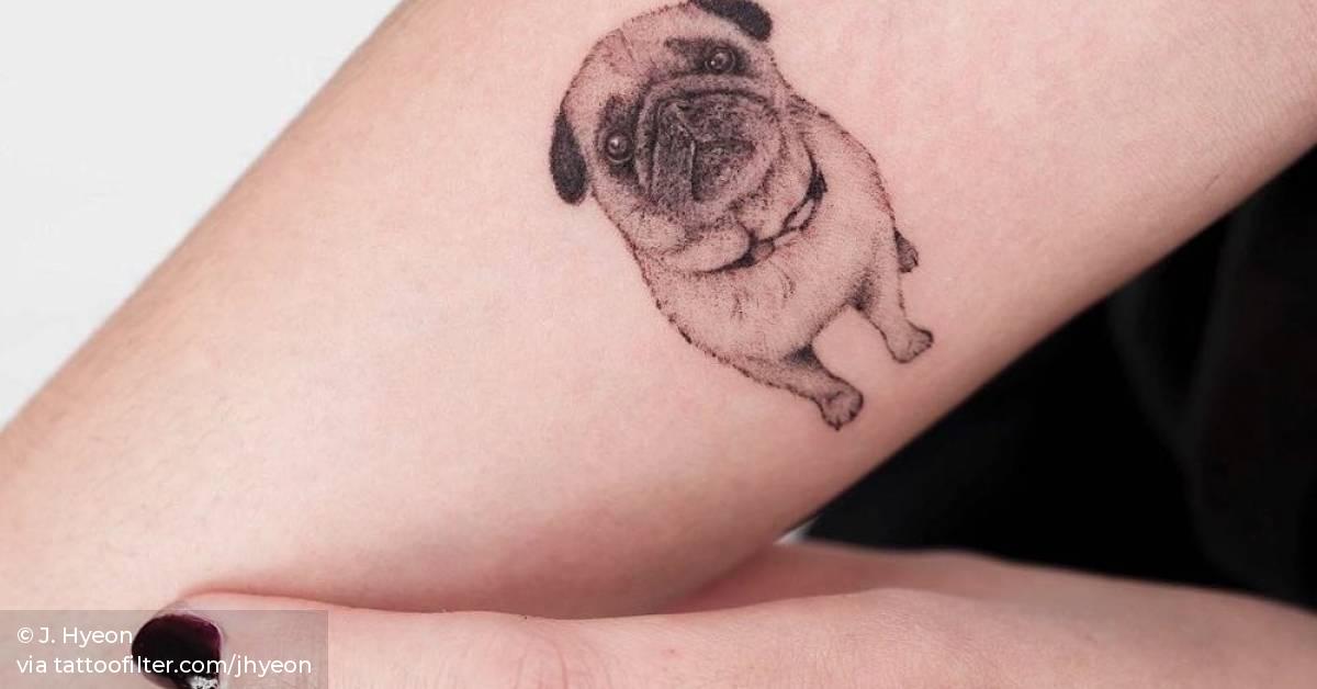Pug