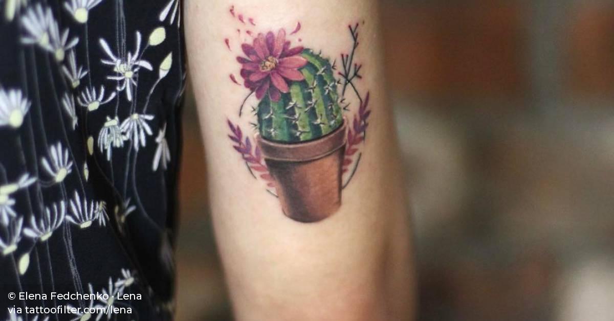 Cactus tattoo on the back of the right arm.