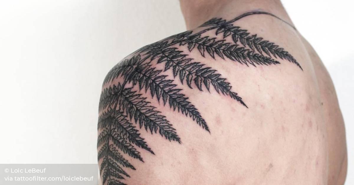 Tatuagem De Samambaia Nas Costas Tatuagens Maori: Origem, Significados