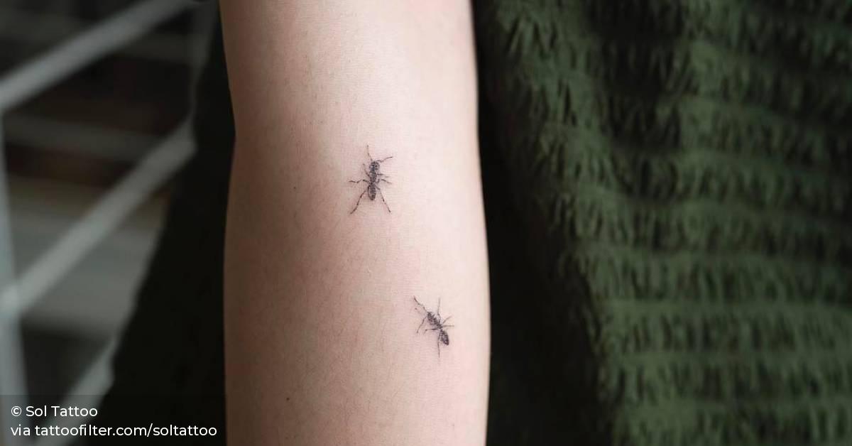 Two ants on the right inner forearm.