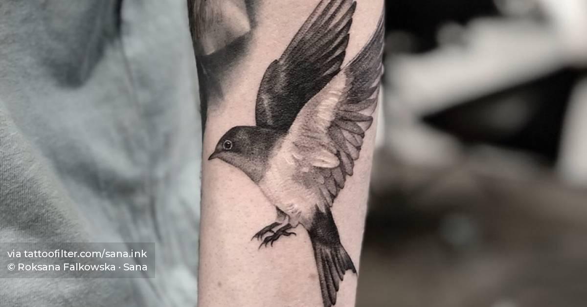 Swallow.