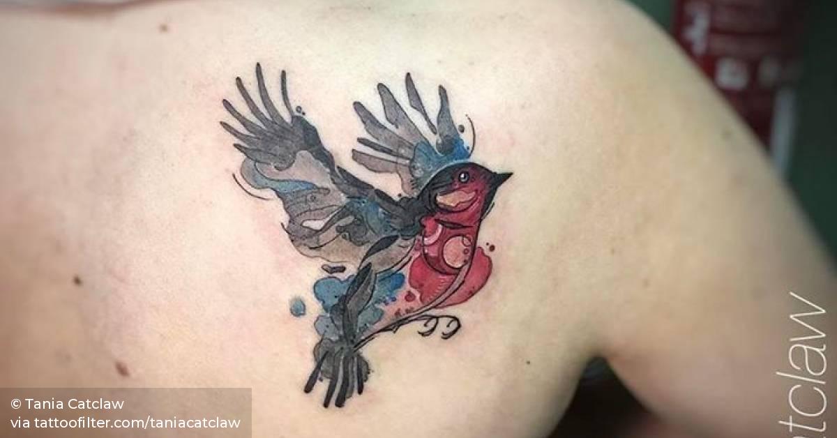 Sketch work robin tattoo on the right shoulder blade.