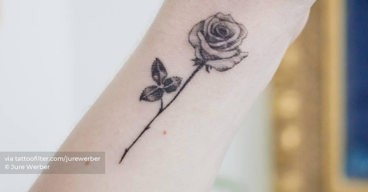 Rose, scar cover-up.