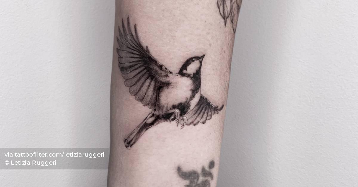 Parus Major // microrealismo // {cinciallegra}