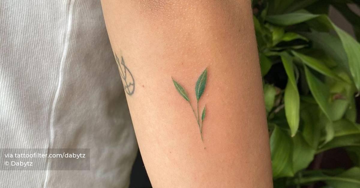Sprig tattoo on the forearm.