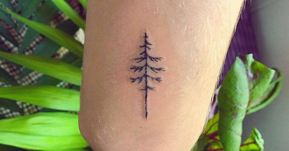 Hand poked pine tree tattoo on the tricep
