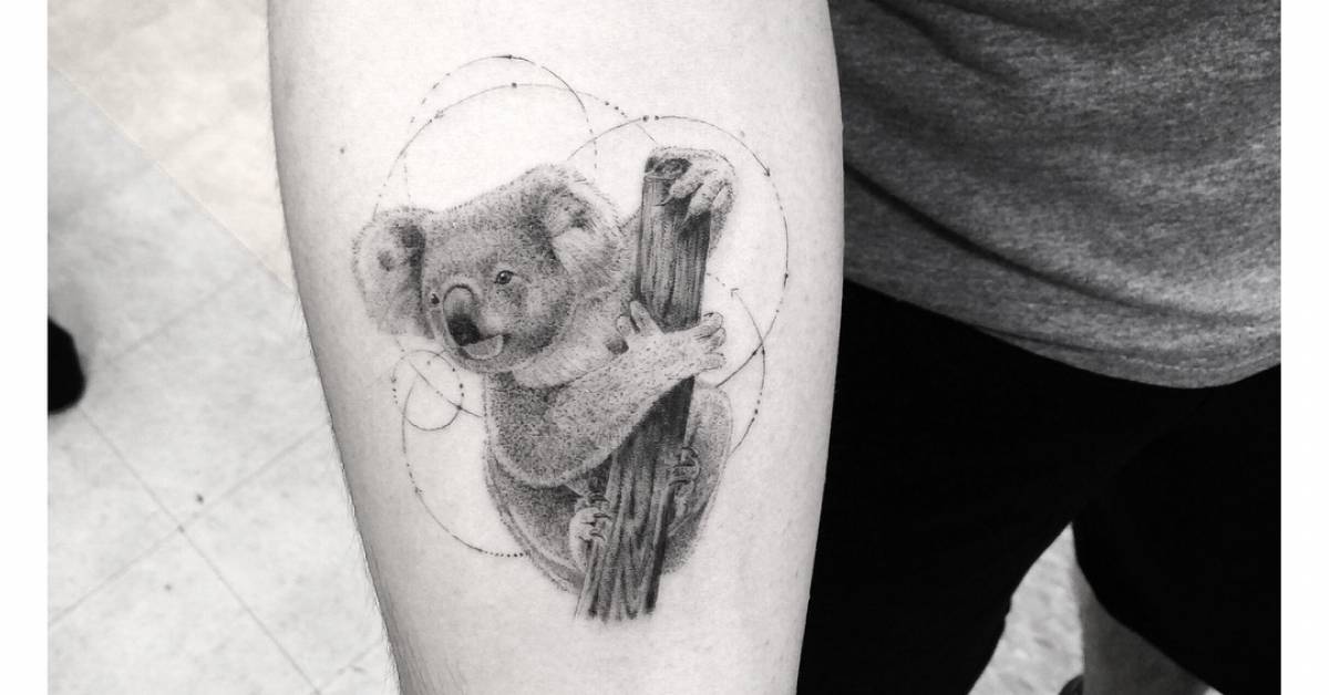 Single needle koala tattoo on the inner forearm.