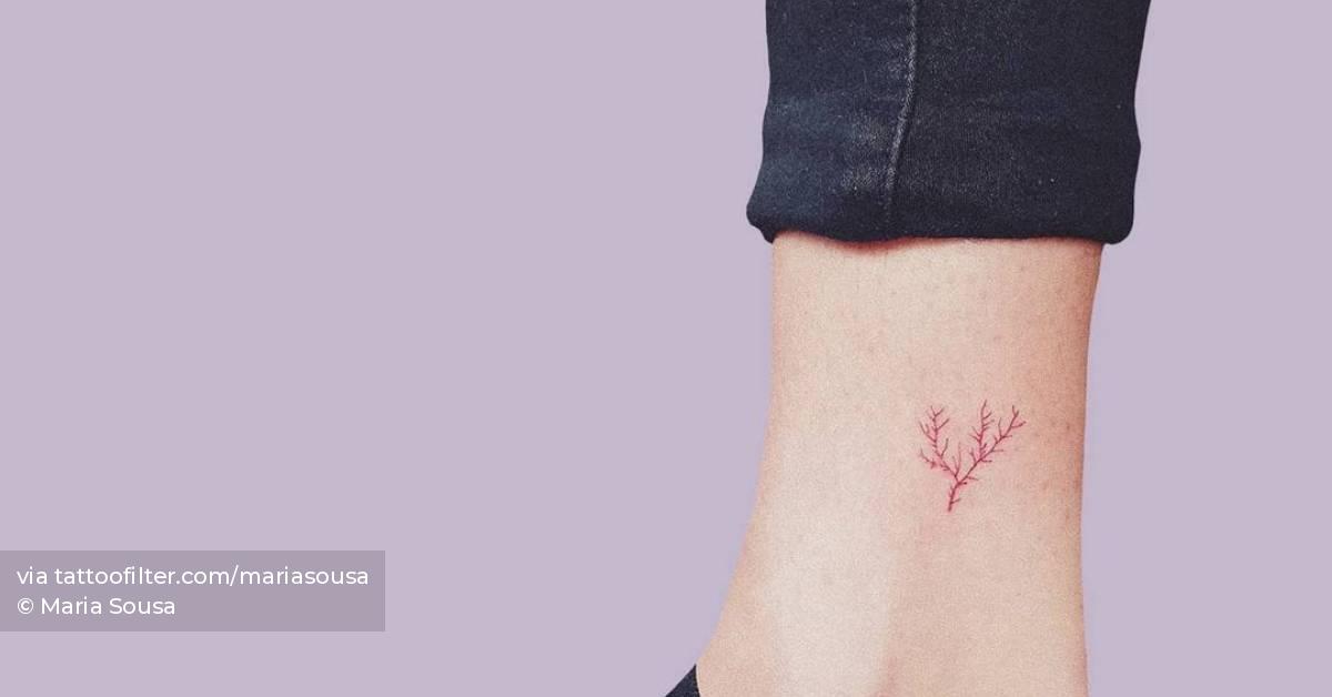 Fine line seaweed tattoo on the ankle.