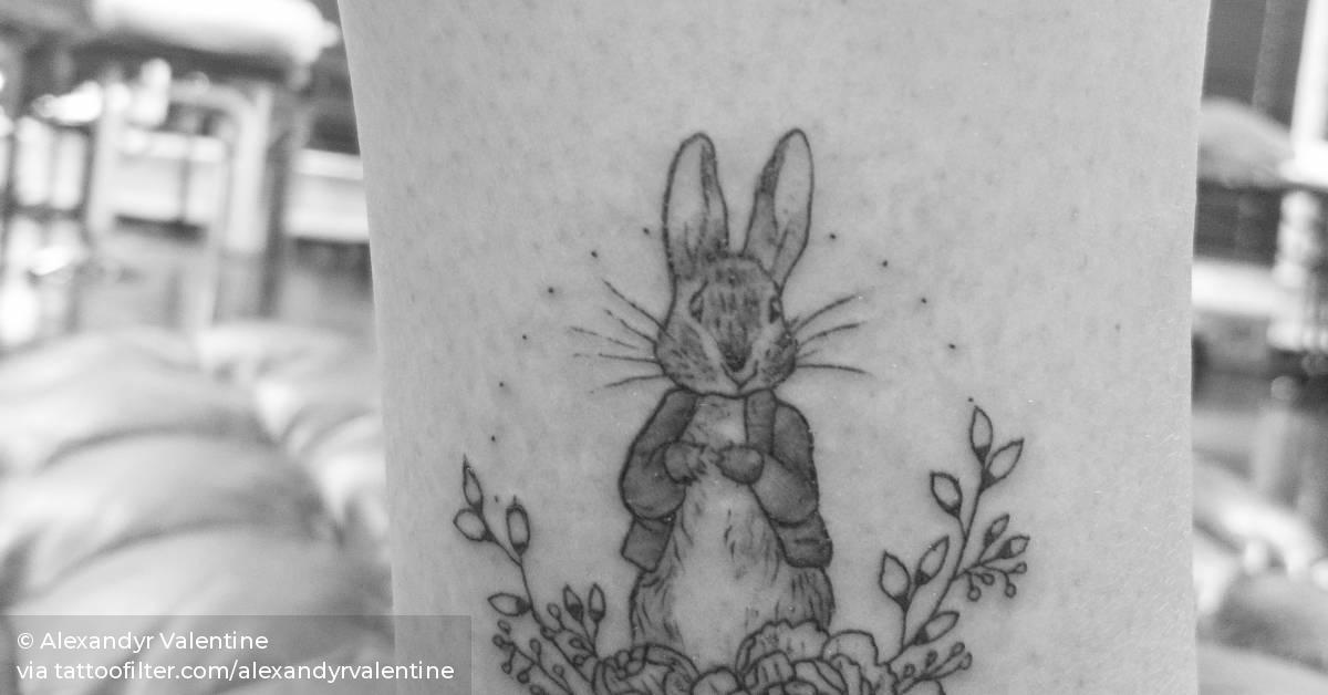 Peter Rabbit by Alexandyr Valentine