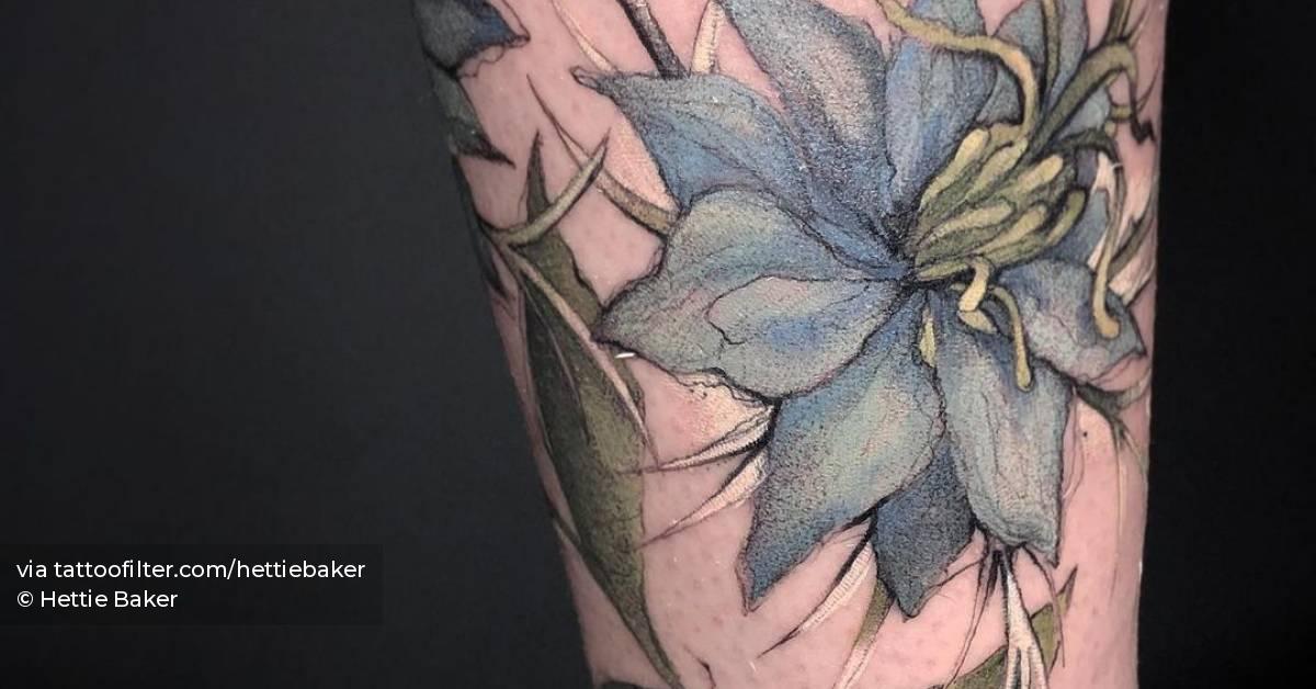 Sketch work Love-in-a-mist tattoo on the shin