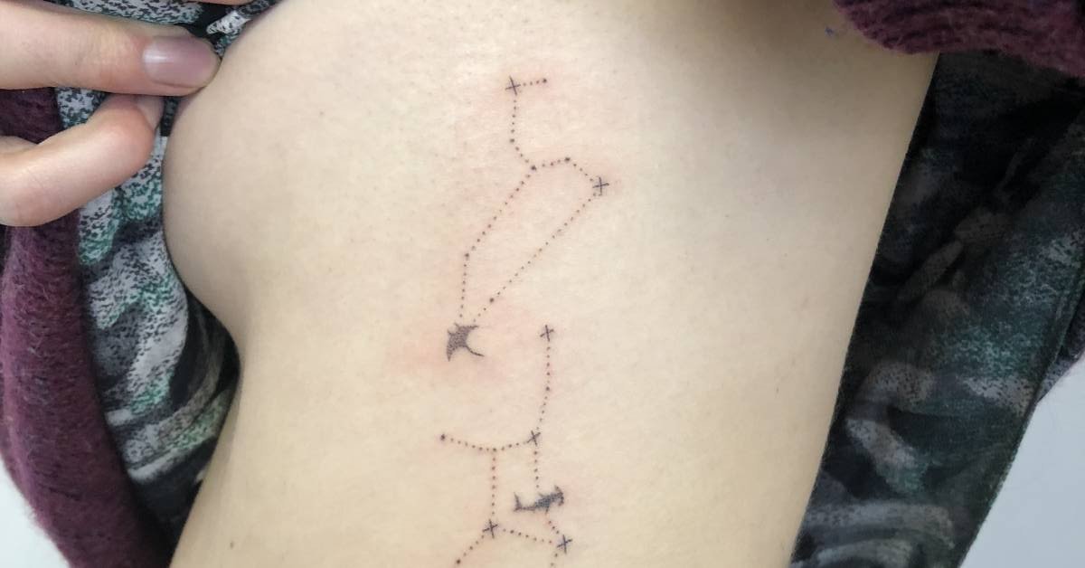 Constellation with Manta Ray and hammerhead shark