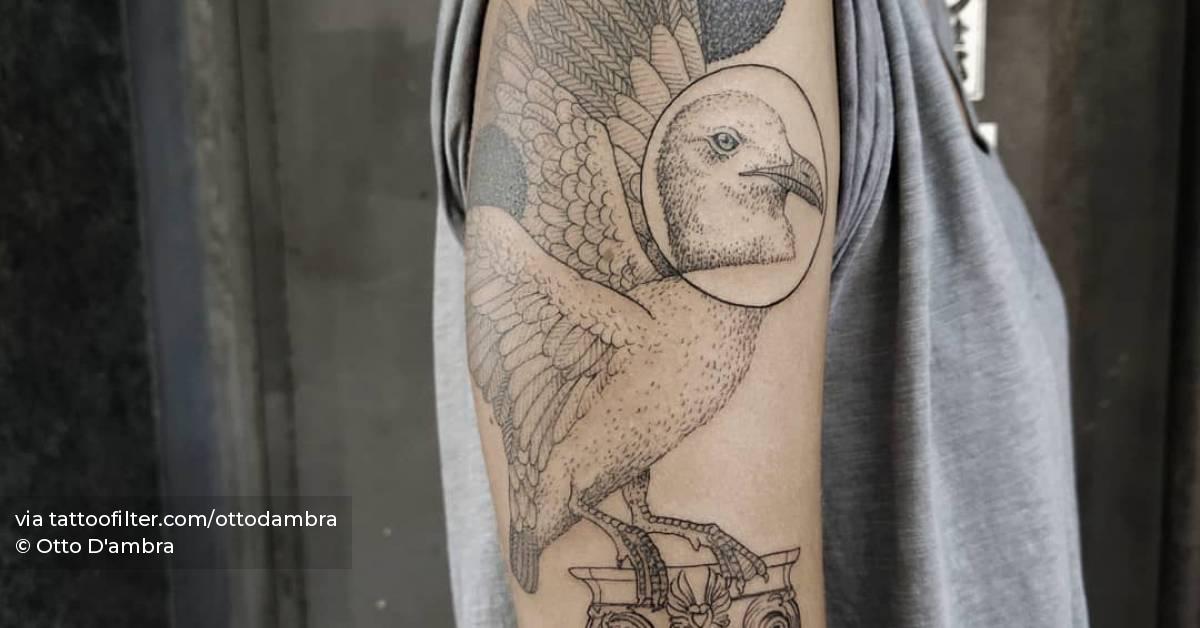 The Sicilian seagull.