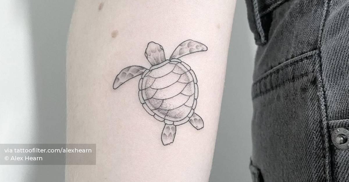 Fine line turtle tattoo on the inner forearm.