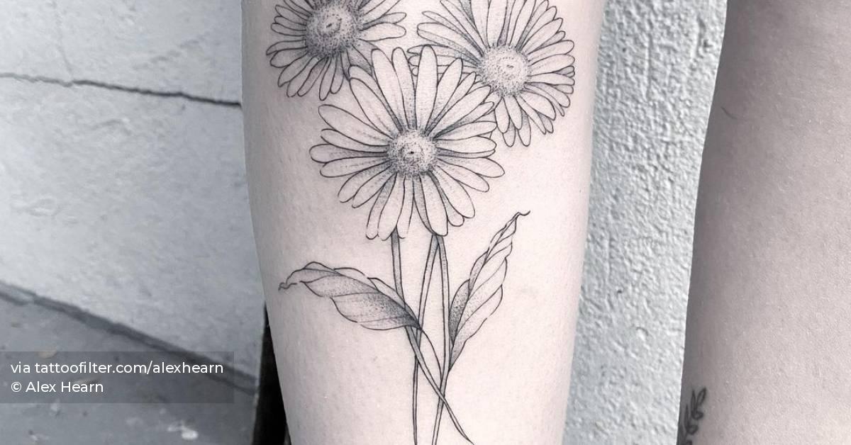 Fine line daisies tattoo on the shin.