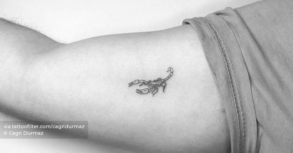 Fine line scorpion tattoo on the inner arm.