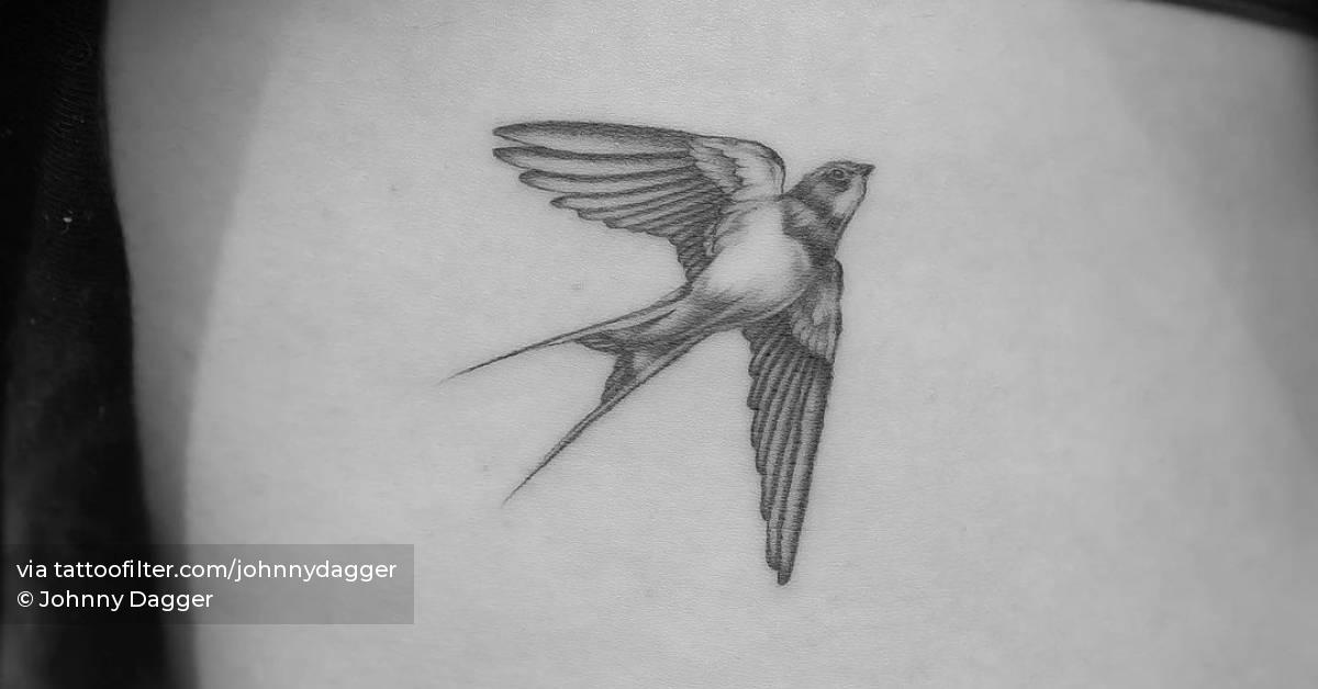 Swallow tattoo on the rib.