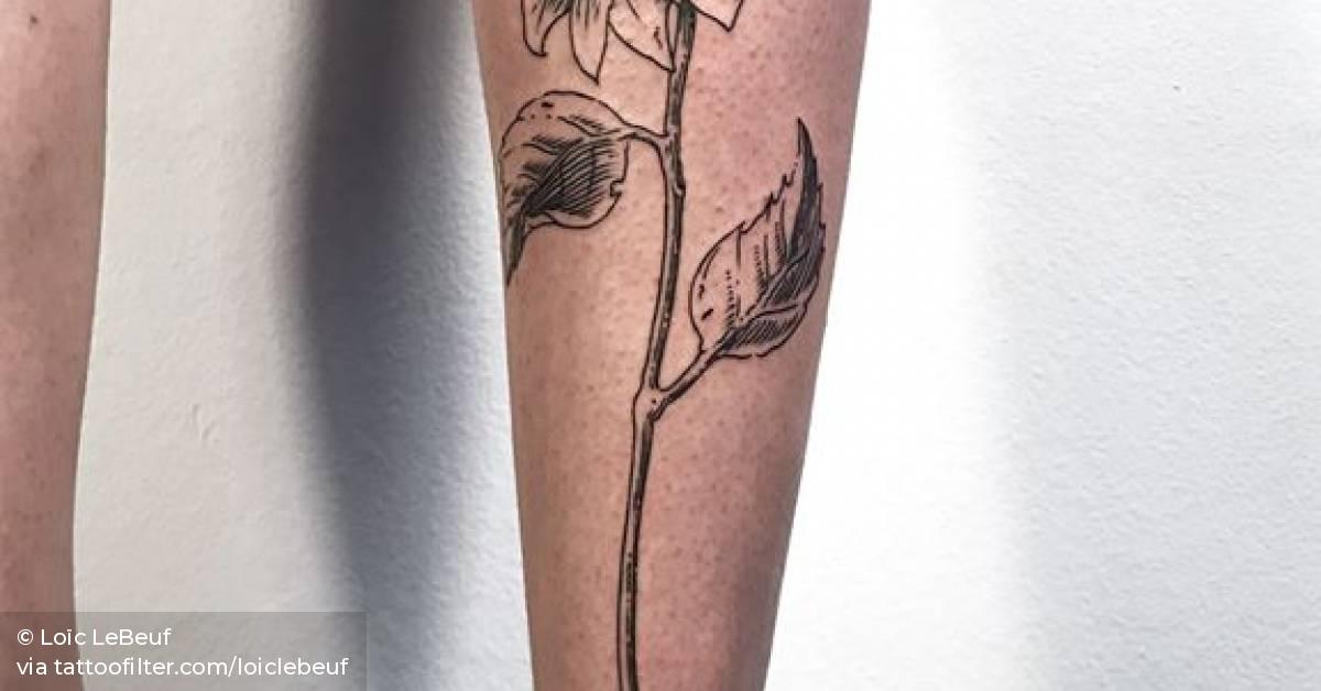 " sənflawər" done at Grotesque Tattooing, thanks