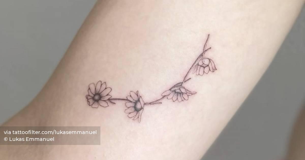 Fine line daisy flowers tattooed on the inner arm.