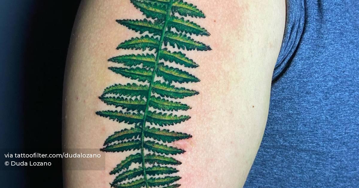Samambaia, uma das plantas mais antiga do mundo.