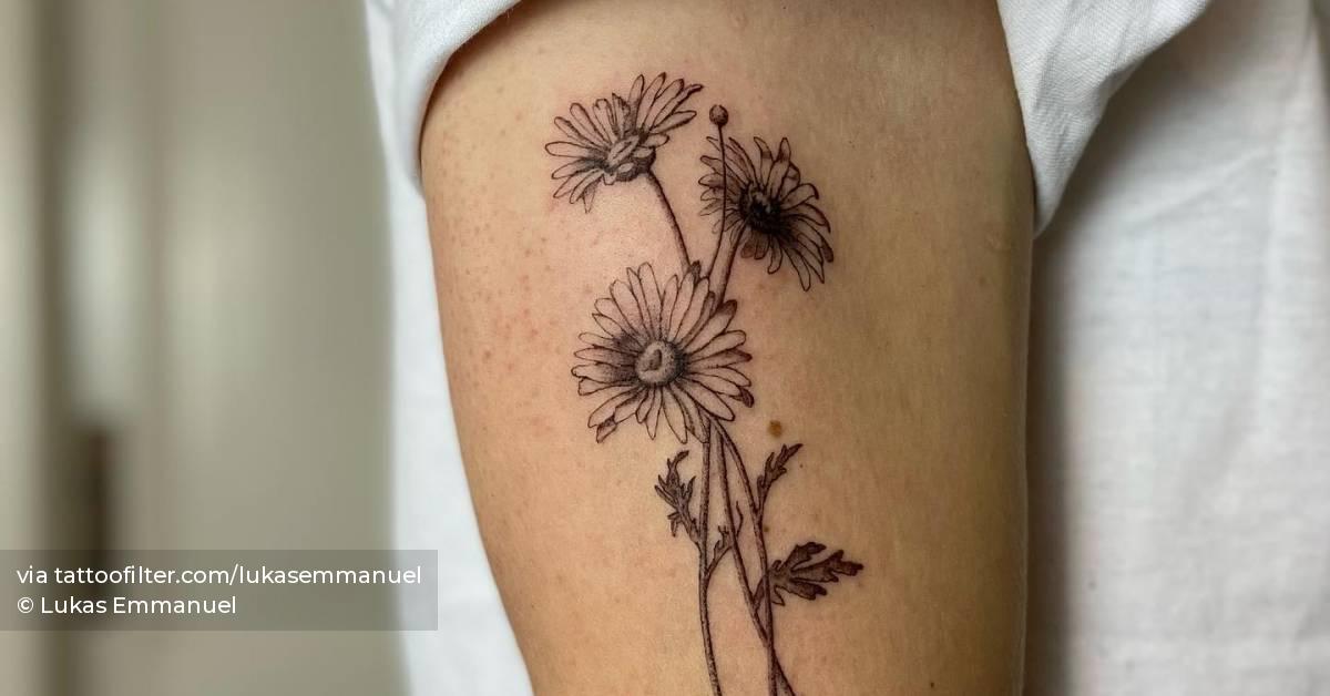 Daisy flowers tattoo located on the upper arm.